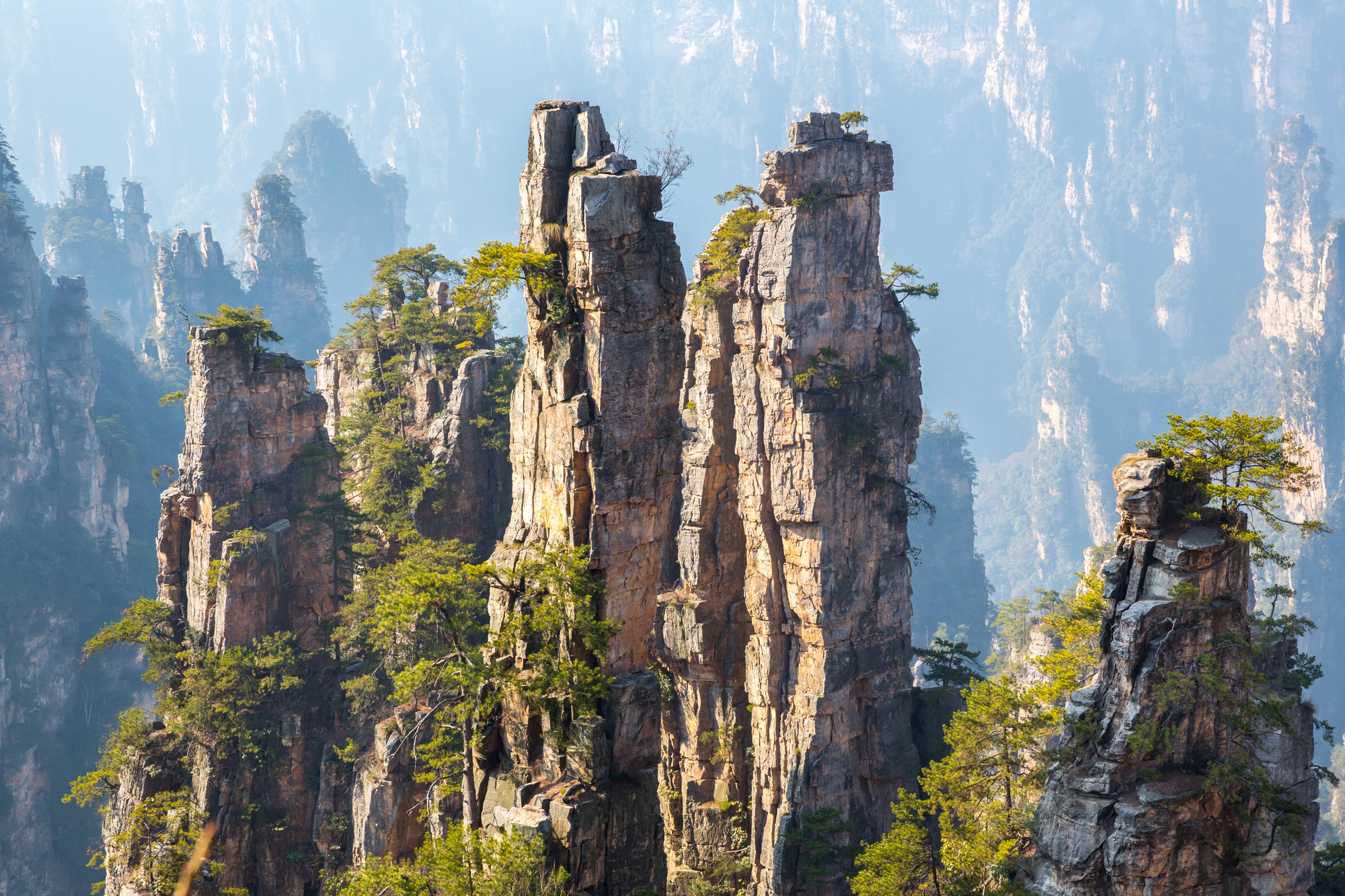 Zhangjiajie National Forest Park - China ontdekken